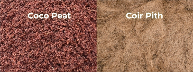 What is the difference between coco peat and coir pith? – Pariworld